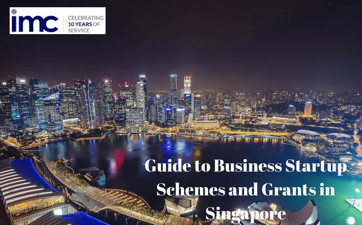 Guide to Business Startup Schemes and Grants in Singapore
