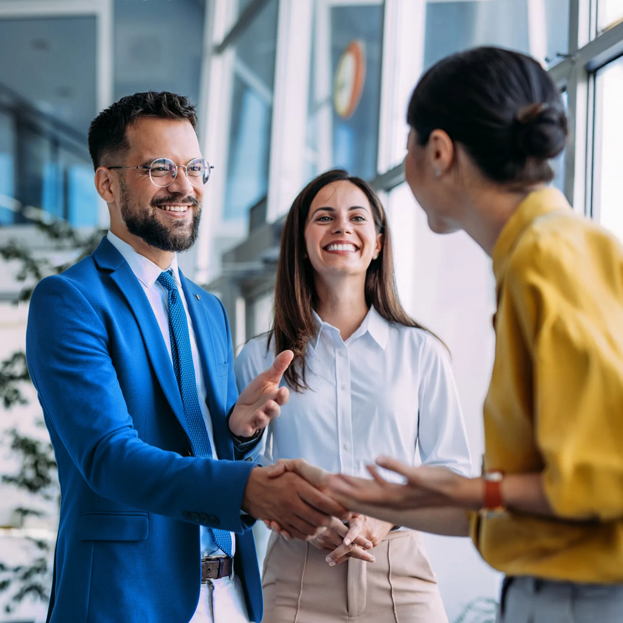 Business Entity Structures and Formation Services